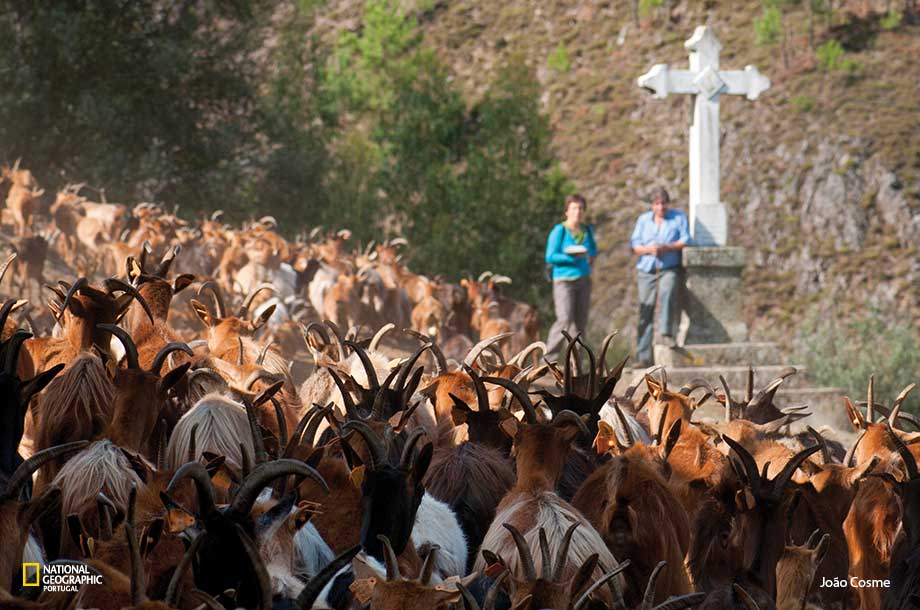 O fascinante mundo dos fenómenos geológicos do Arouca Geopark