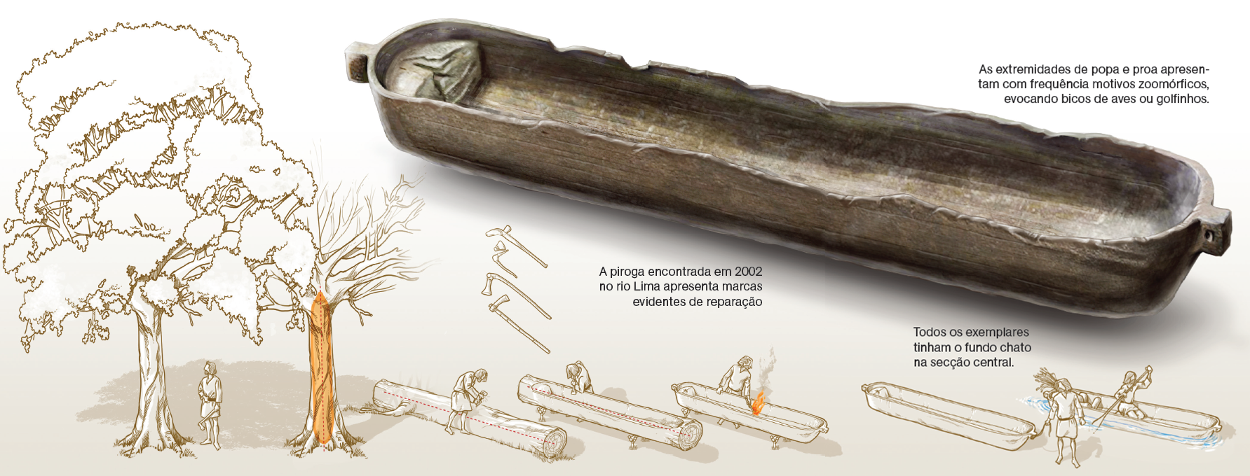 Pirogas monóxilas encontradas em Portugal que ajudam a explicar os ...