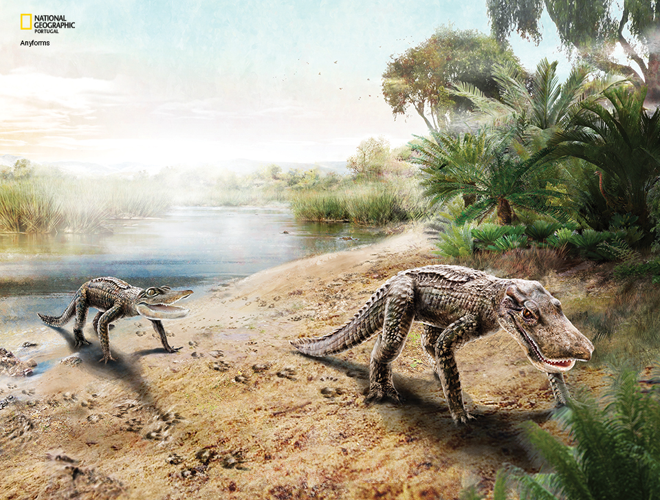 Crocodilos ibéricos