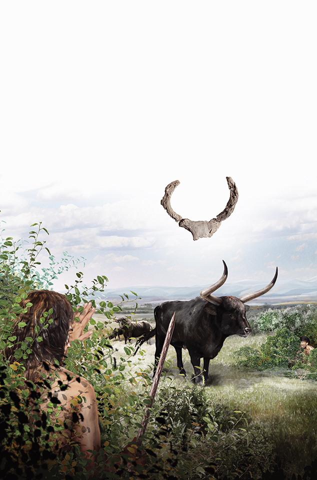 O antepassado dos bois actuais: o impressionante auroque