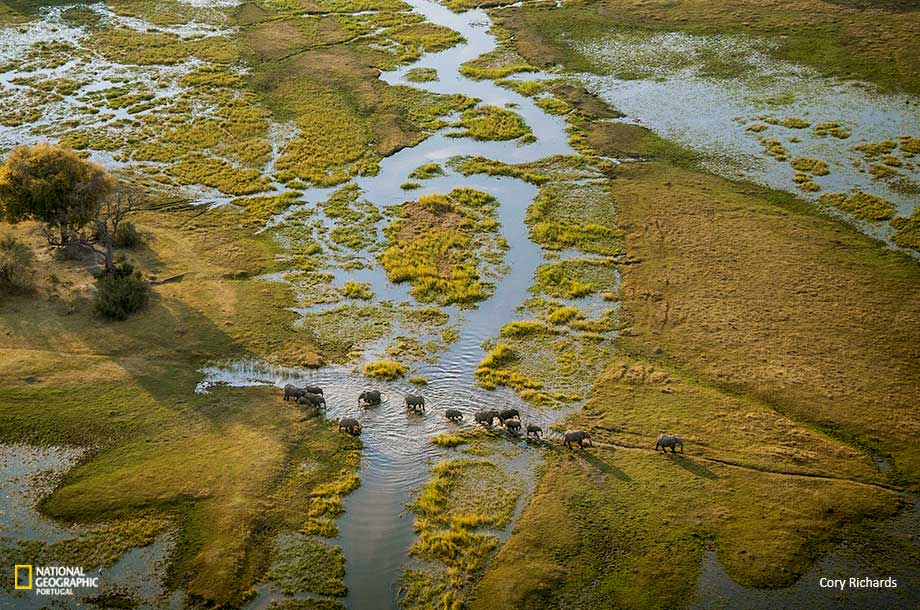 Missão para salvar o delta do Okavango, em África