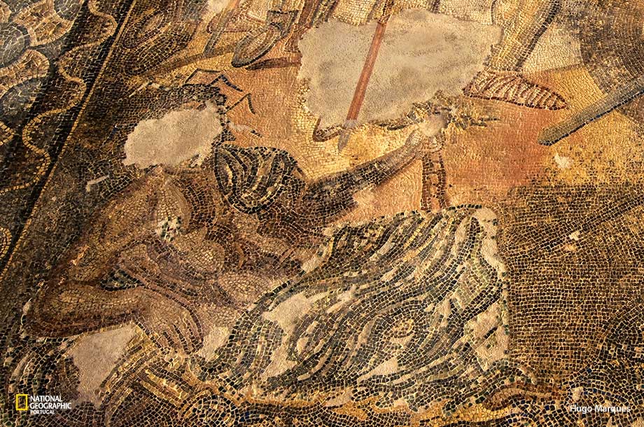 Alexandre, o Grande em Alter do Chão