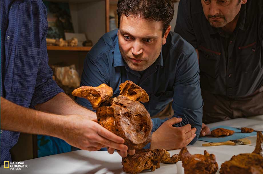 Reimaginando os Dinossauros