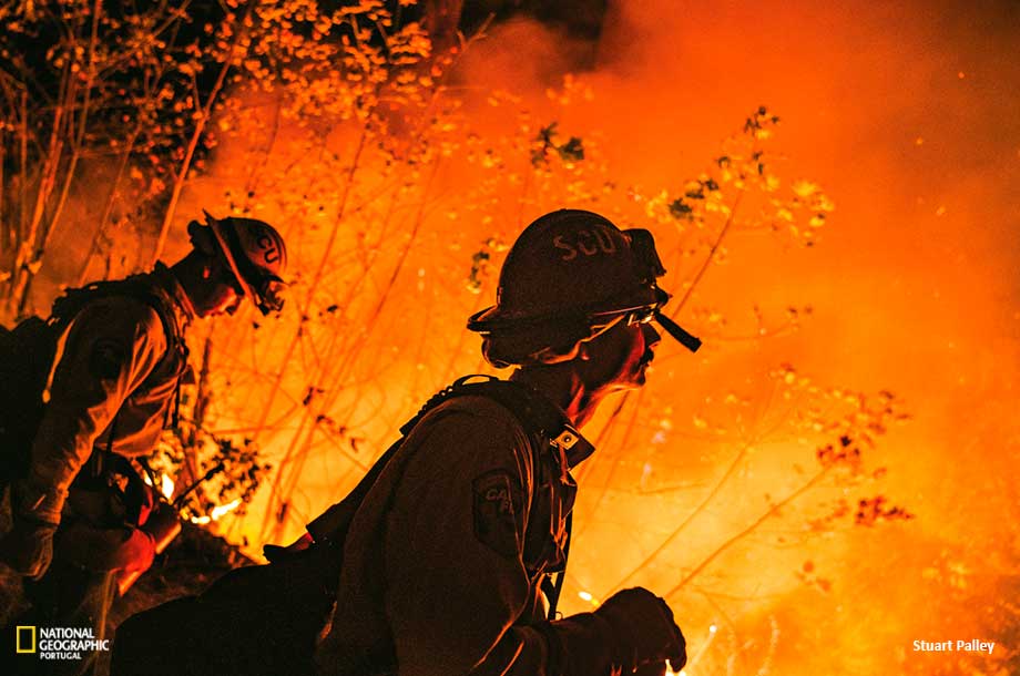 Onde há fogo, há fumo tóxico