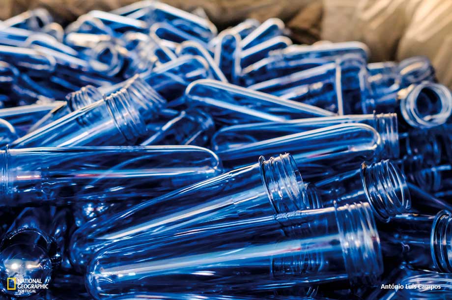 O roteiro dos bioplásticos em Portugal