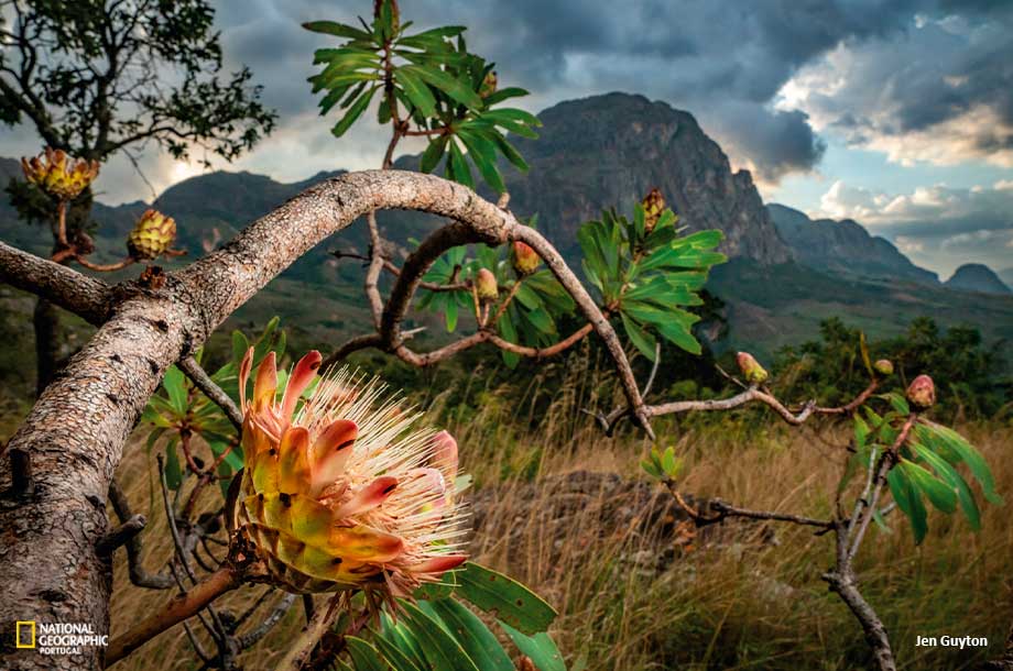 Parque Nacional de Chimanimani: portal para o futuro