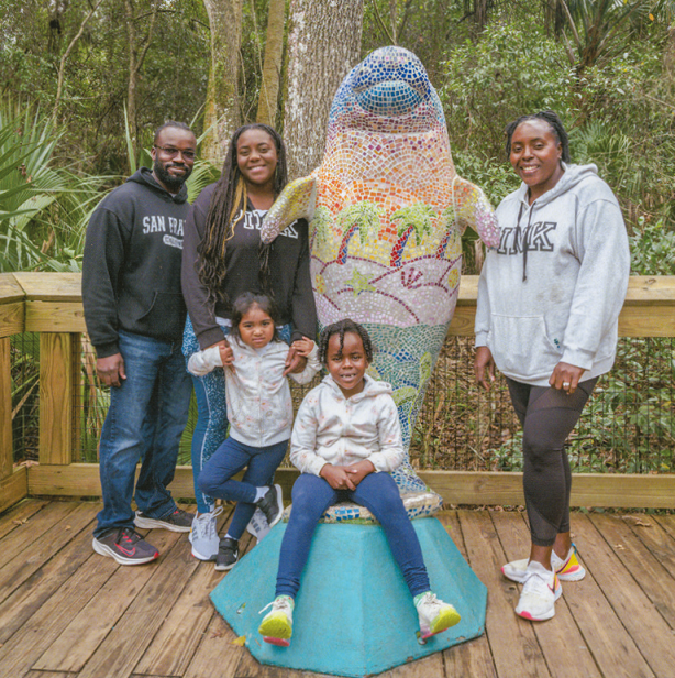 Manatins: nem predadores nem presas, estas criaturas pacíficas são ...