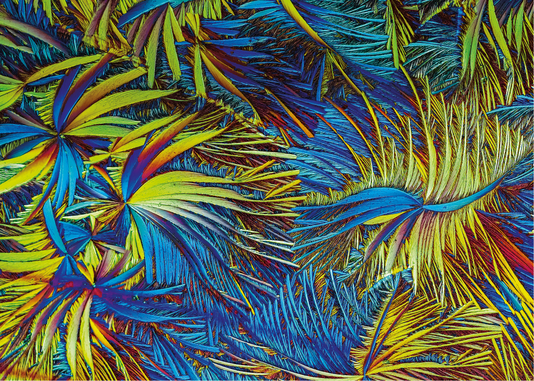 Diário de um fotógrafo: um reino cristalino