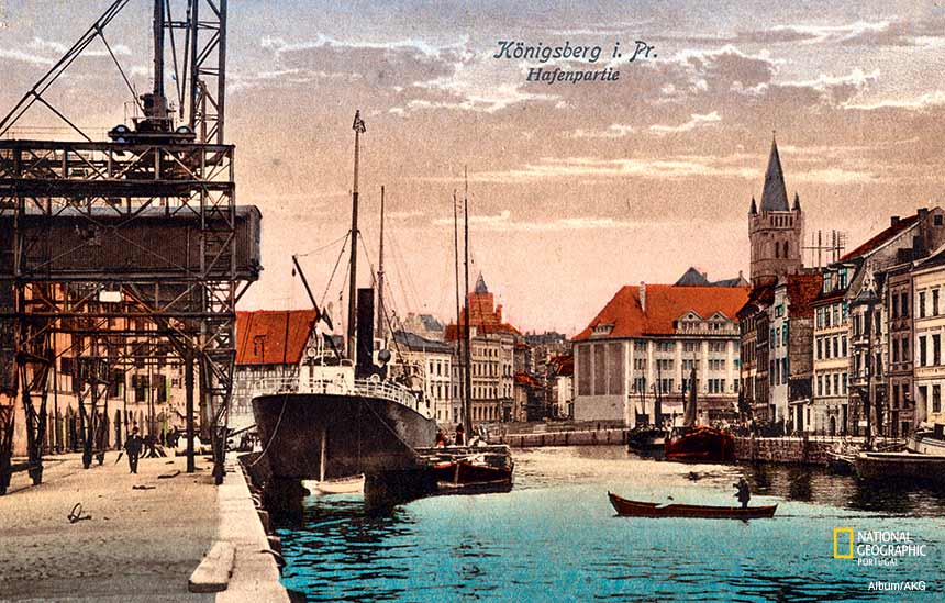 Gödel, o matemático que ousou levantar o braço quando todos se calaram